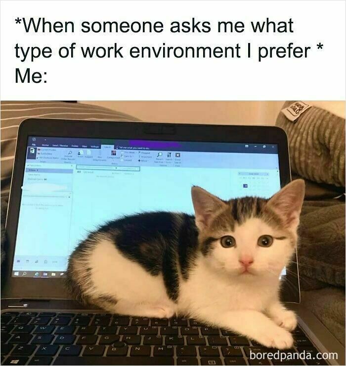 46 Hilariously Relatable WFH Memes To Help You Pretend To Be Working ...